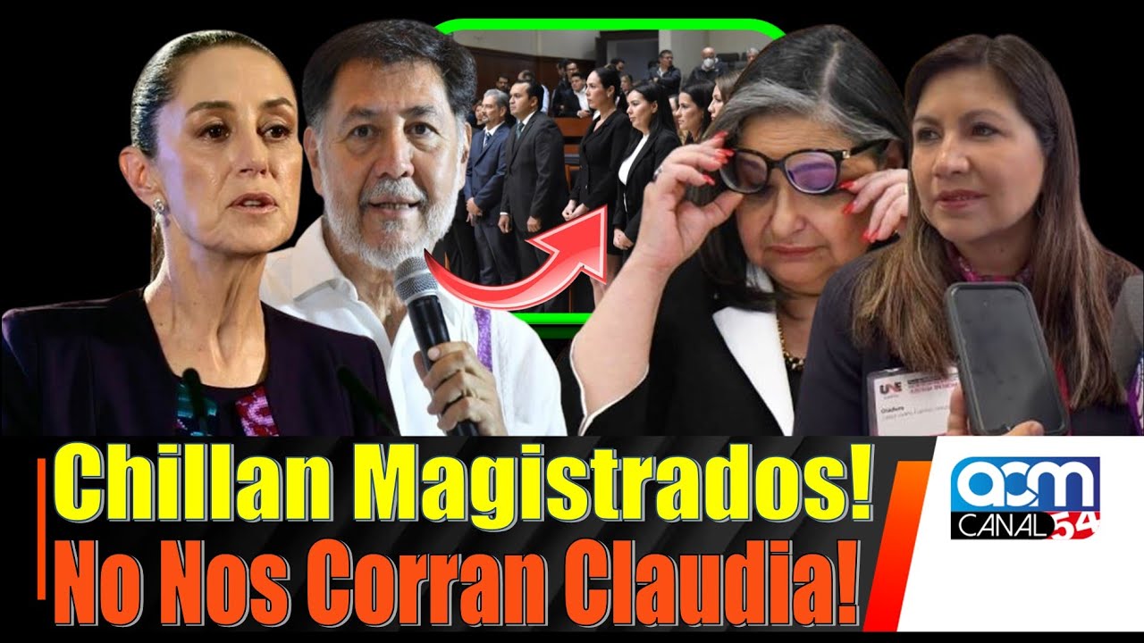 MAGISTRADOS CHILLÁN Y PIDEN QUE NO LOS CORRAN, ESTÁN TOTALMENTE ...