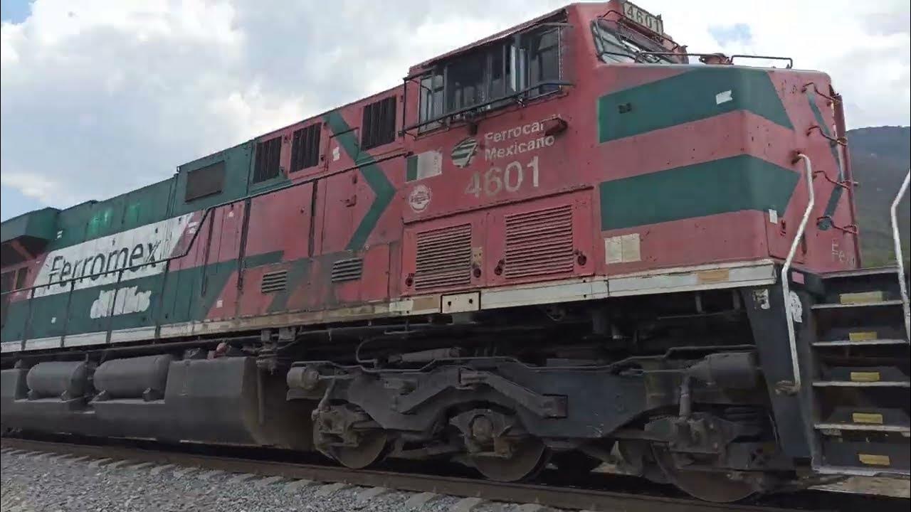 FXE#4601 Directo Veracruz - México - YouTube