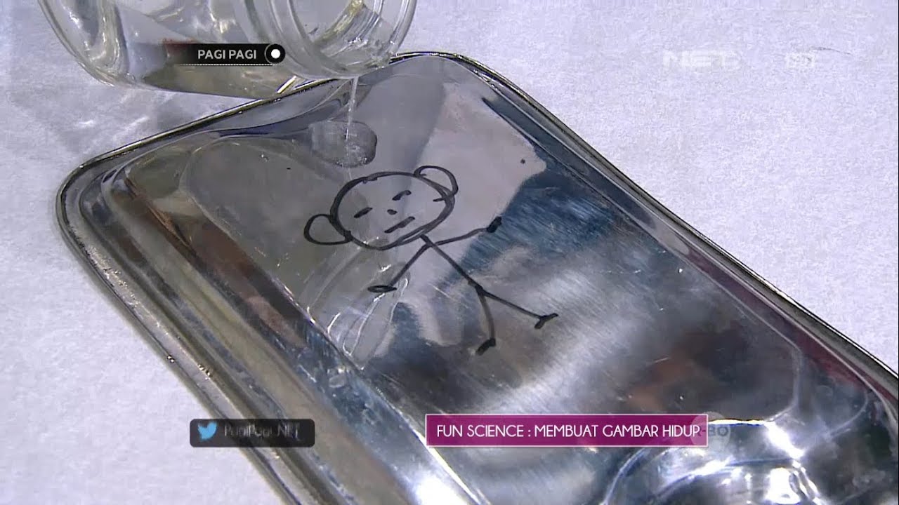 Fun Science: Membuat Gambar Hidup - YouTube
