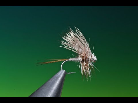 Fly Tying the Adams hair wing mayfly dun with Barry Ord Clarke - YouTube