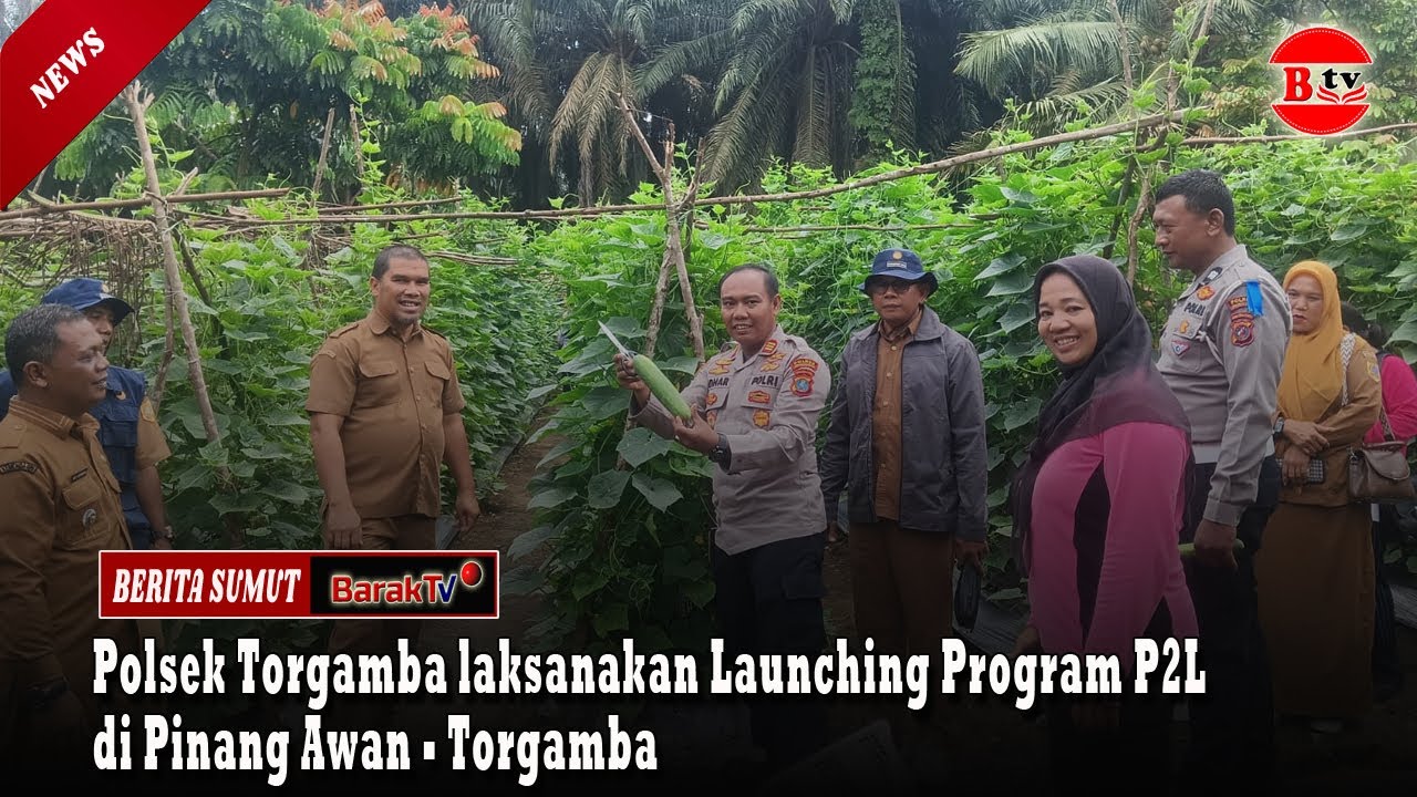 Polsek Launching Program P2L di Pasar 12 Pinang Awan - YouTube