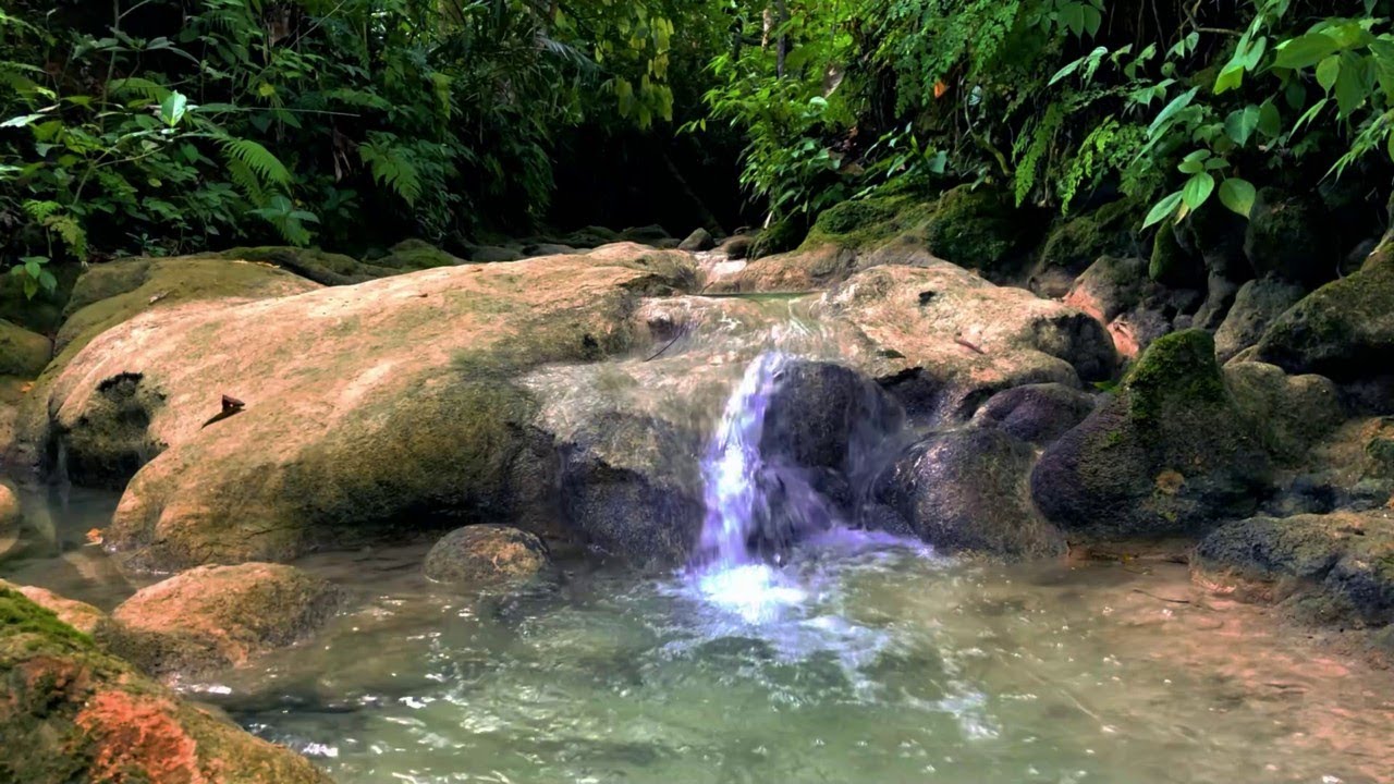 Healing River Sounds for Sleep, Focus, and Anxiety Relief | Yoga Music ...