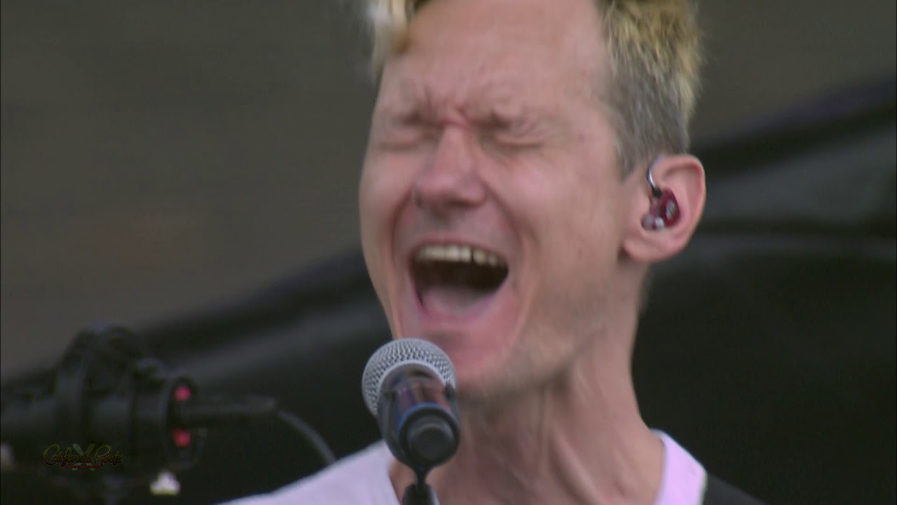 Ballyhoo! | Full Set live at California Roots 2019 - YouTube