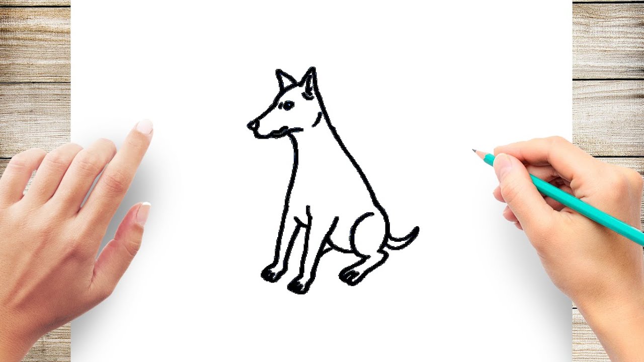 How to Draw a Hound Step by Step - YouTube
