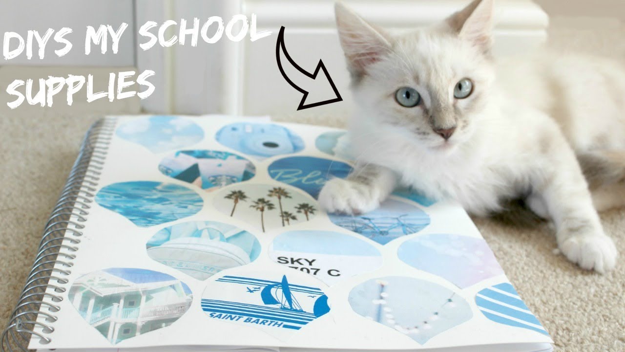 MY CAT DIYS MY SCHOOL SUPPLIES!! - YouTube