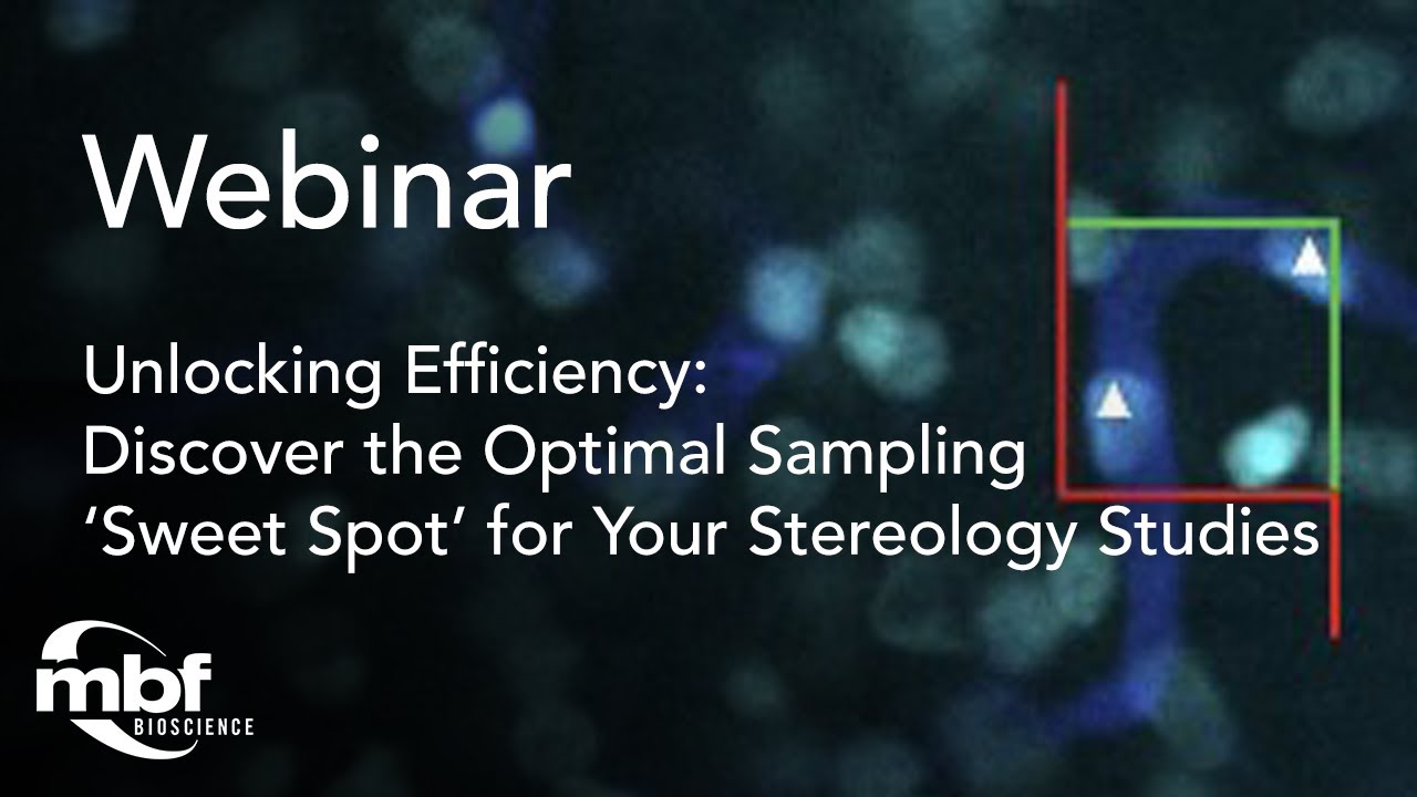 Webinar: Discover the Optimal Sampling 'Sweet Spot' for Your Stereology ...