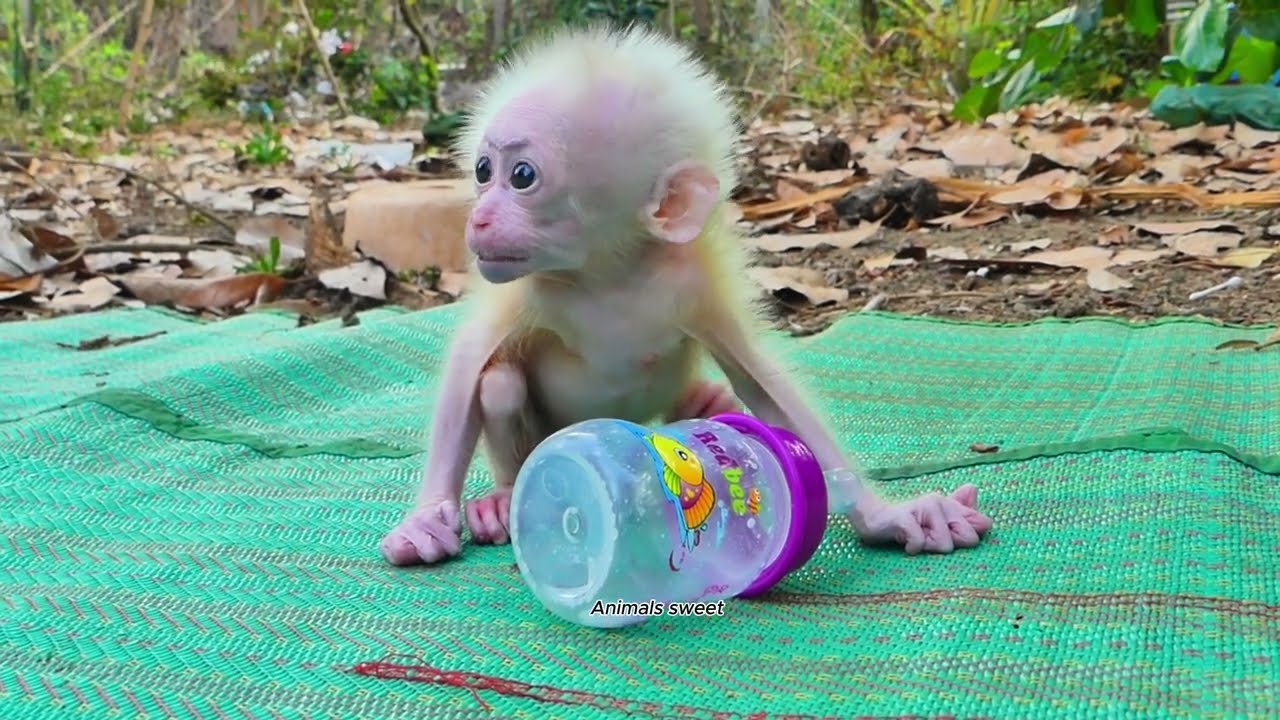 Looks like baby is angry with the rage of milk, she bites her mouth and ...