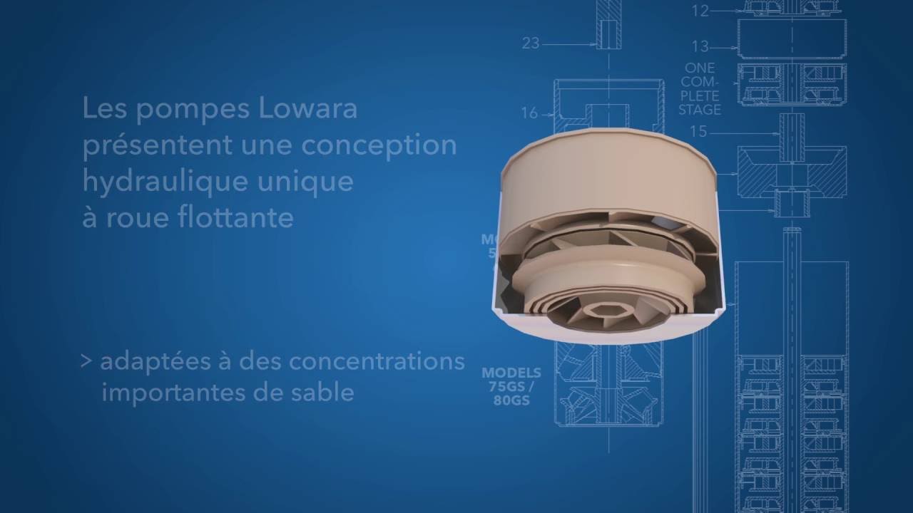 Nouvelle gamme de pompes immergée e-GS Lowara | Xylem Water Solutions ...