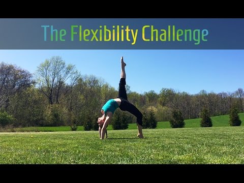 100 Day Challenge 3 | Contortion Flexibility | Weeks 1-2 - YouTube