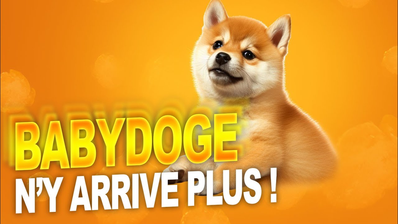 Crypto Baby Doge Coin n'y arrive plus ! LIVE - YouTube