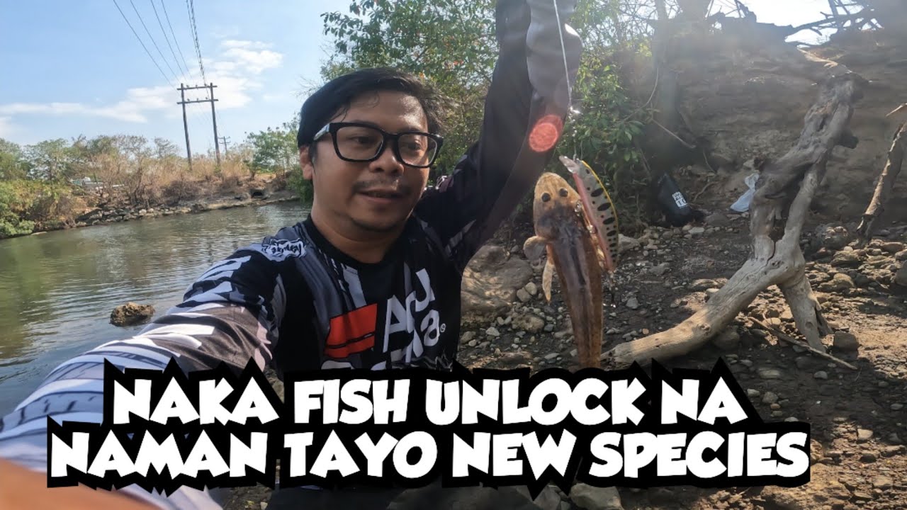 NEW FISH UNLOCK LIZARD FISH ULTRALIGHT FISHING SETUP - Fishing