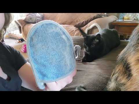 Norwex Lint Mitt for Pet fur - YouTube