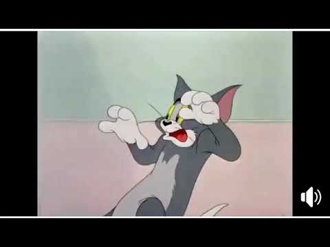 Tom prikol 😂😂😂