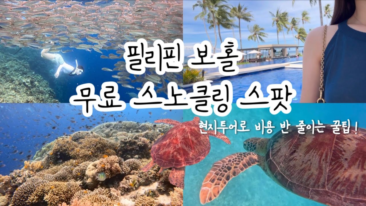 극우기 필리핀 보홀 여행 🇵🇭미쳐벌인 무료 스노클링 스팟 추천🤿 ㅣ현지투어ㅣ나팔링투어🐠ㅣ발리카삭 호핑투어🐢ㅣ헤난 알로나 리조트ㅣ