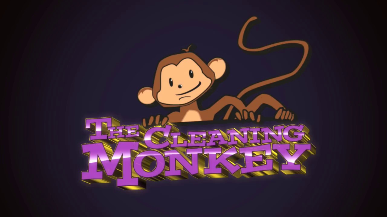 The Cleaning Monkey - How To Choose Your Carpet Cleaner - YouTube