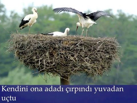 aşk işi