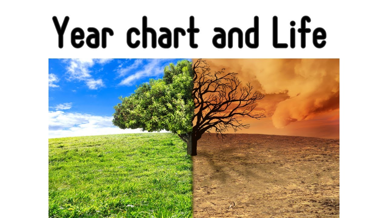 Year chart and Life - YouTube