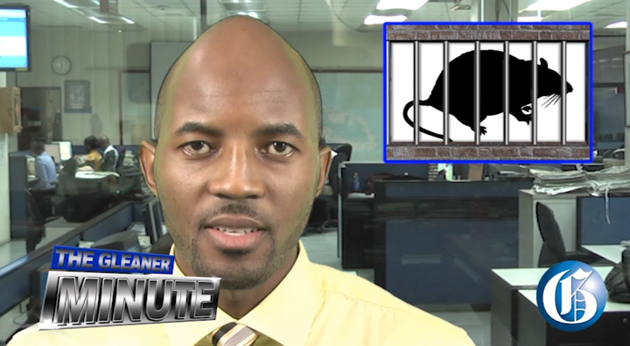 THE GLEANER MINUTE: Rat-infested lock-up closed... Jamaican extradited ...