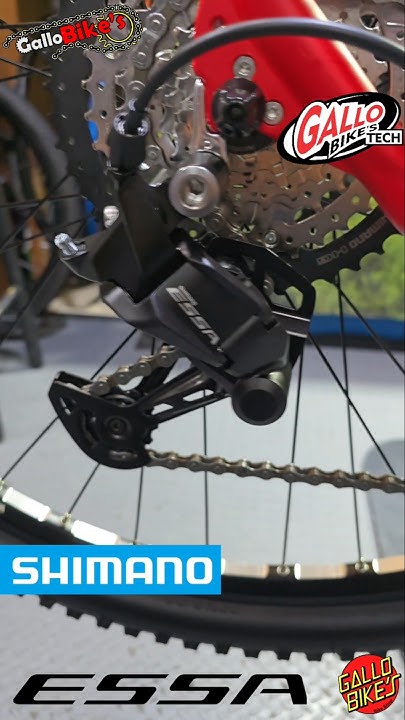 NUEVO Grupo de Cambio SHIMANO ESSA U-2000 de 1x8 velocidades imstalado monoplato bicicleta MTB ...