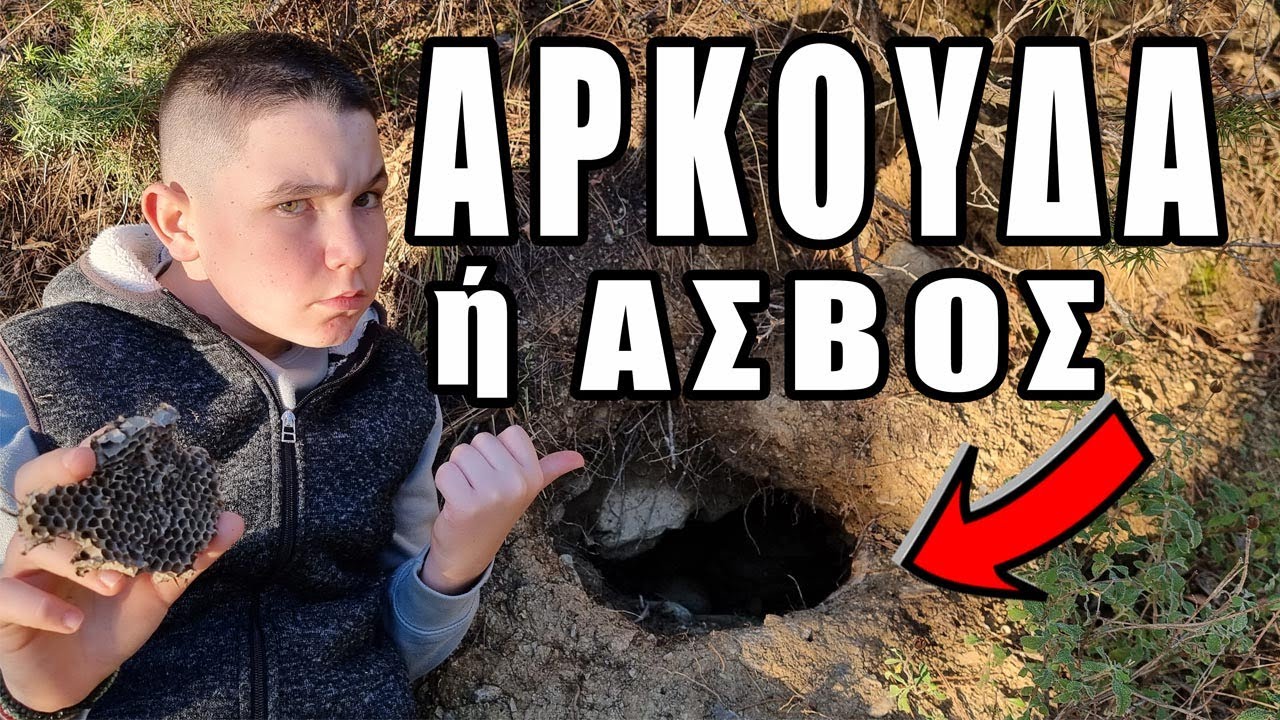 ΑΡΚΟΥΔΑ ή ΑΣΒΟΣ - ΒΡΗΚΑ ΚΑΤΙ ΑΠΙΣΤΕΥΤΟ😱 - YouTube