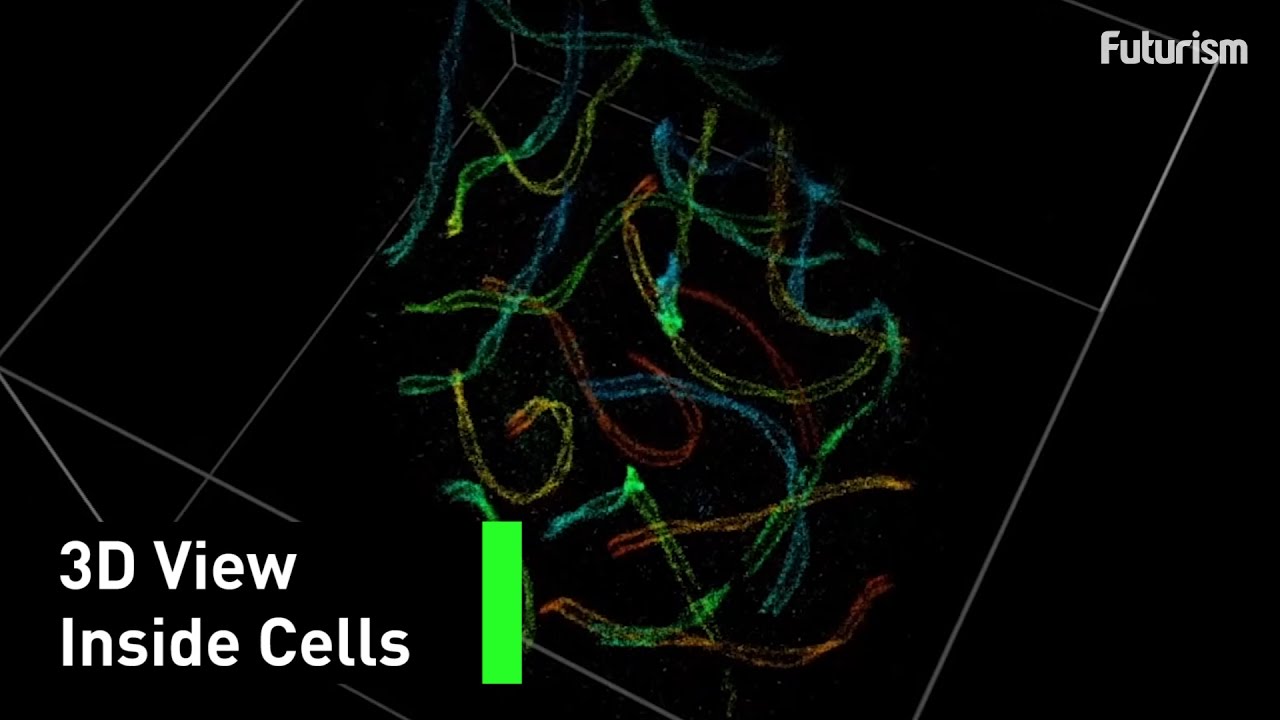 Now We Can See Inside Cells at a Nanoscale - YouTube