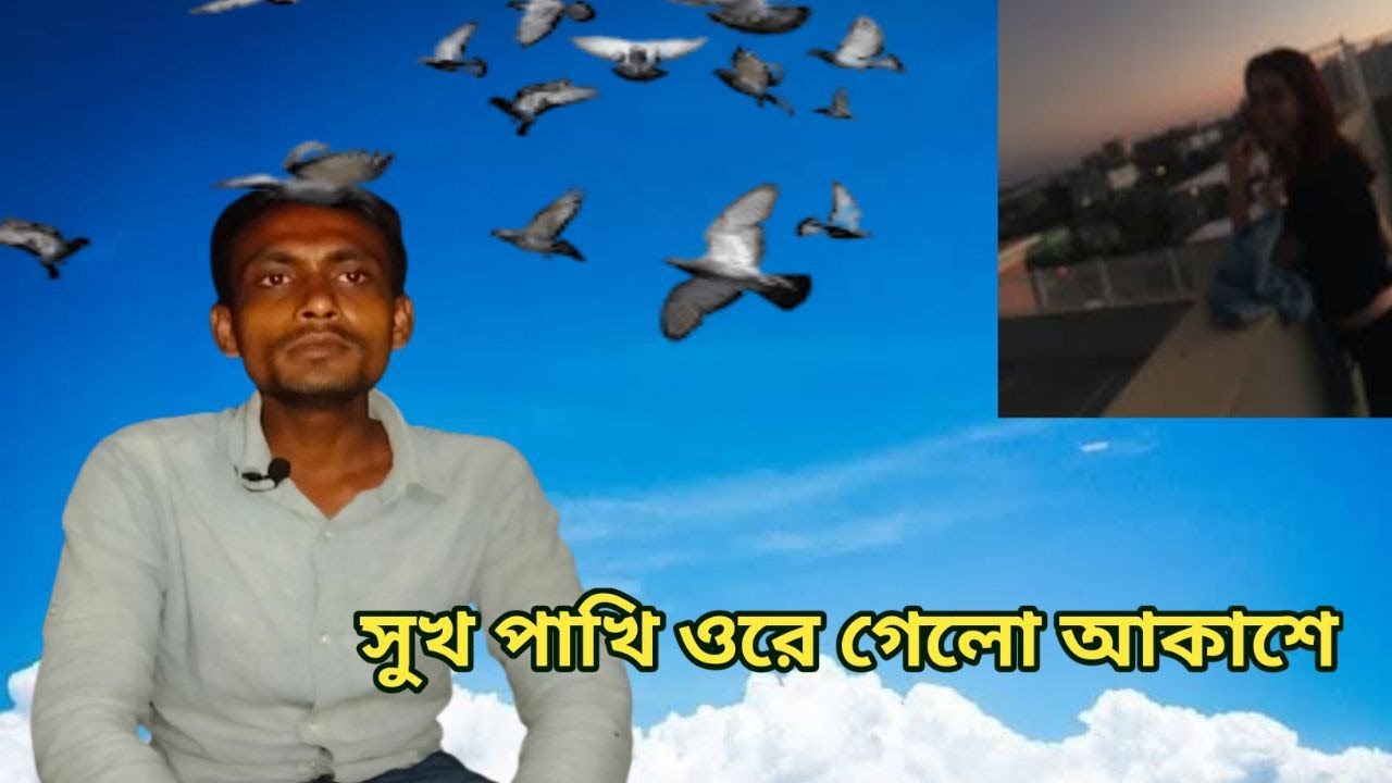 সুখ সুখ পাখি উড়ে যায় দুর আকাশে /suk suk pakhi ore jai akashe /বাংলা ...