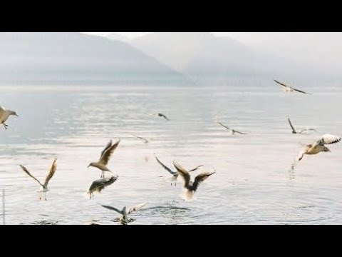 Art. |What does art means to you? 🌅+ﾟ☆ﾟSchool Proyect - YouTube