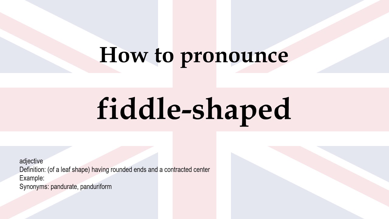 fiddle shaped - YouTube