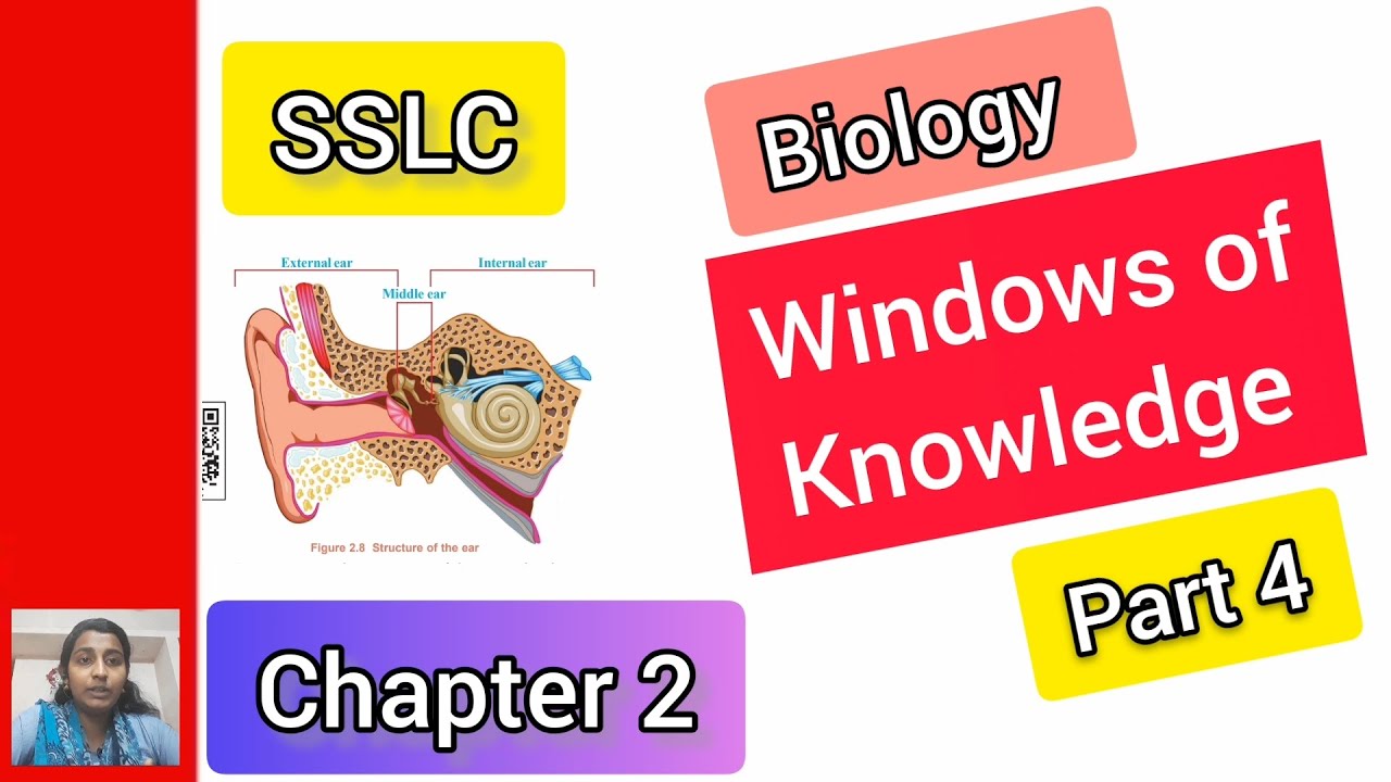 Ear | Windows of Knowledge | Biology | Class 10 | Chapter 2 | Part 4 ...