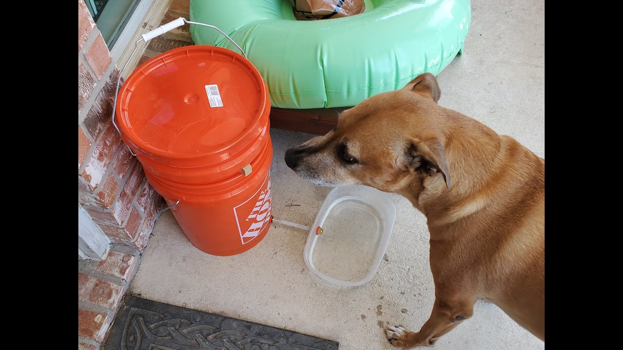 Mark Rober Course Project 1 Final Build - YouTube