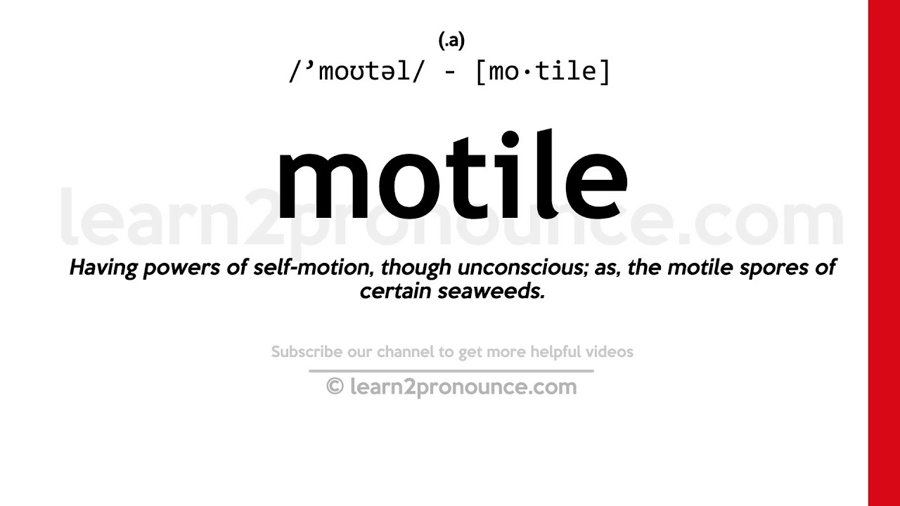 Pronunciation of Motile | Definition of Motile - YouTube