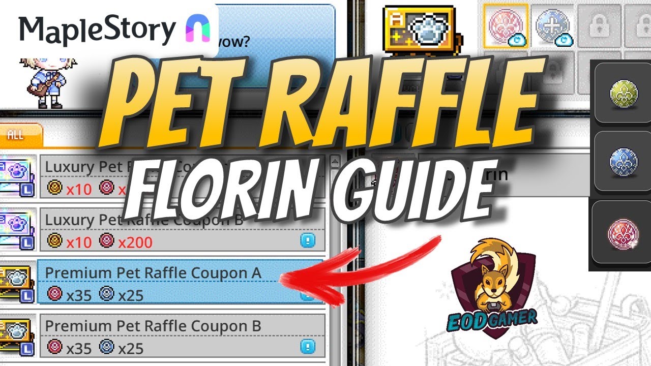 How Style Raffle Coupons Work in Maplestory N | Florin Use Guide ...