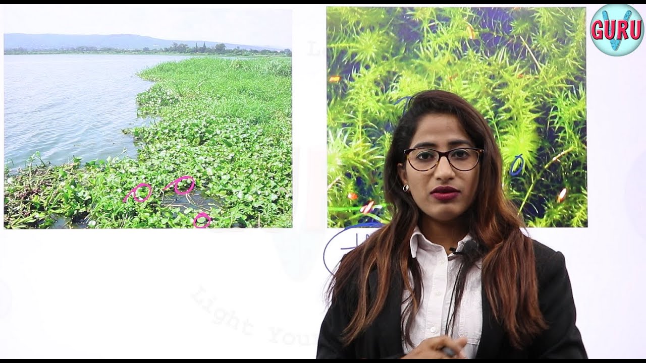 Adaptations in Different Ecosystem | 9th class biology Telangana & AP ...