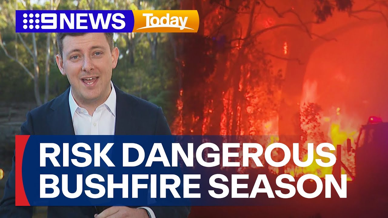 East coast at risk of having most dangerous bushfire season since ...