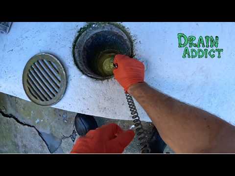 Blocked Drain 1223