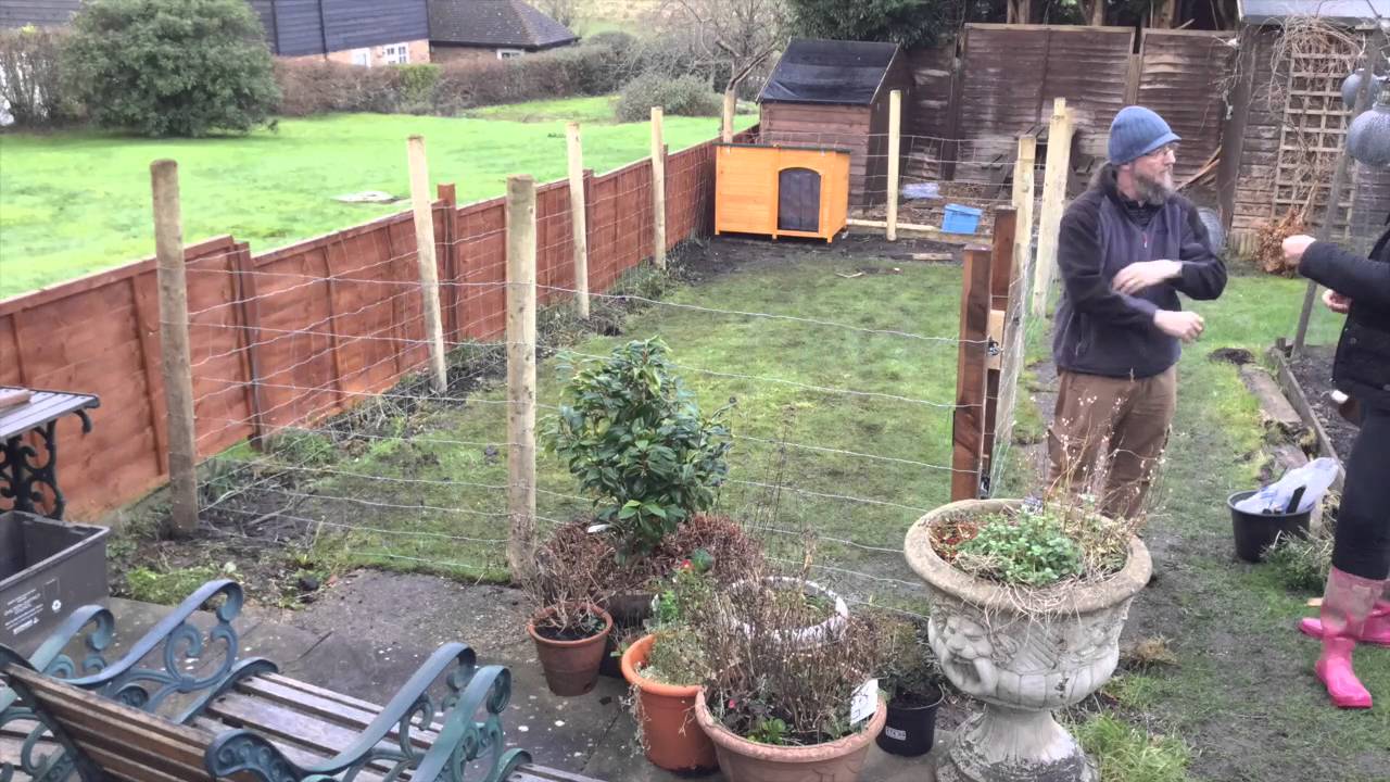 Building A Stock Fence Pen For Our New Pet Mini Pig Wilson s Arrival YouTube building-a-stock-fence-pen-for-our-new-pet-mini-pig-wilson-s-arrival-youtube