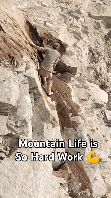 Mountain Life is So Hard Work 💪#hardwork #mountain #mountainlife #work ...