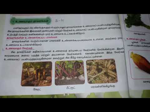 4th std SCIENCE TERM-2 Unit 3-4 - YouTube