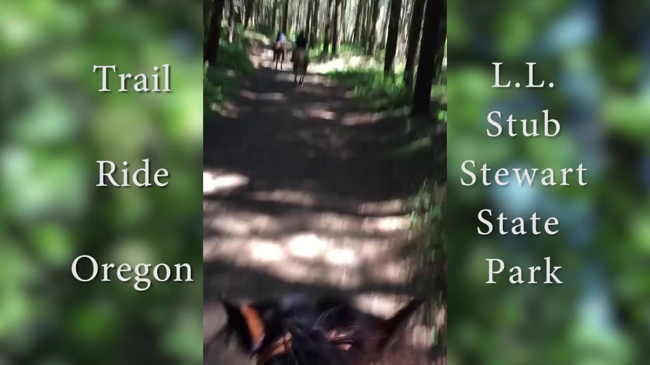 Trail Ride Oregon - L.L."Stub" Stewart State Park - YouTube