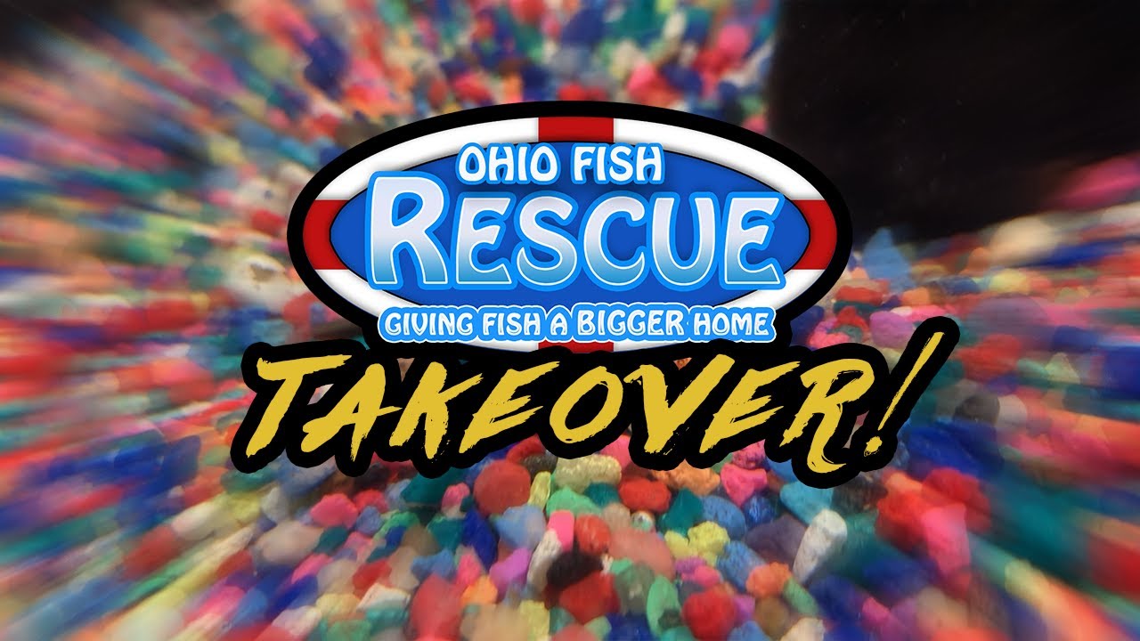 Ohio Fish Rescue Gets OVERTAKEN!!! - YouTube