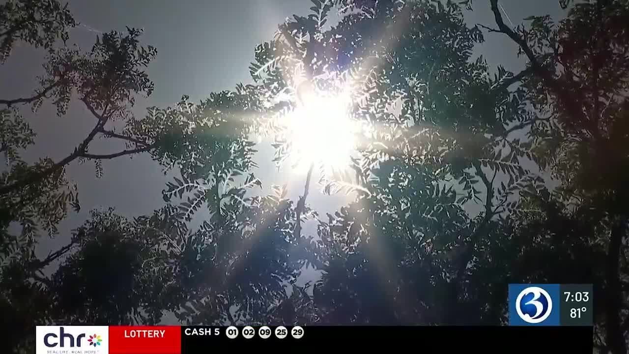 Hot weather safety reminders - YouTube