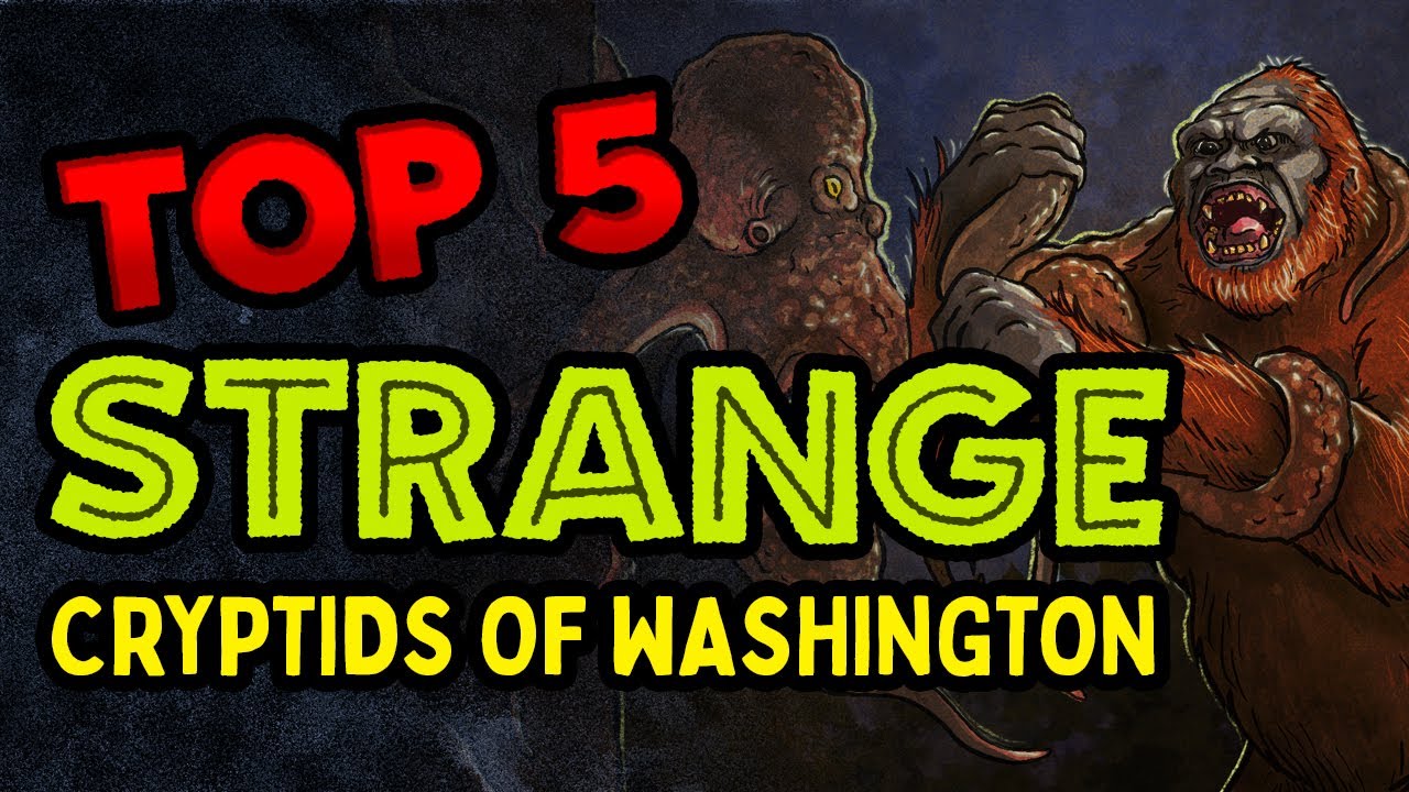 Top 5 STRANGE Cryptids of Washington - YouTube