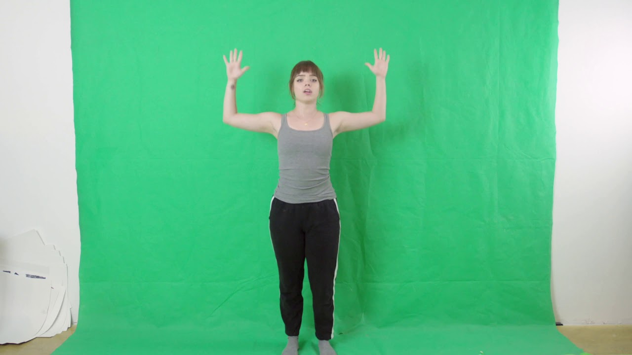 FAMILY CHALLENGE: The Arm Pulse Workout - YouTube