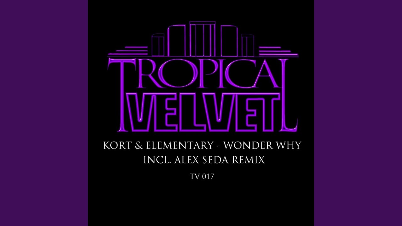 Wonder Why (Alex Seda Remix) - YouTube
