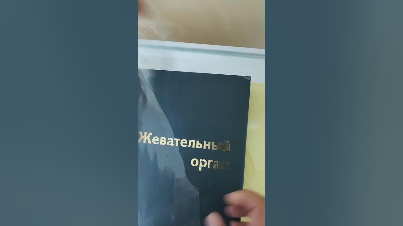 Распаковка. Жевательный орган. - YouTube
