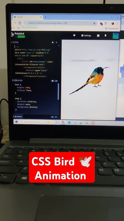 Bird animation | CSS animation - YouTube
