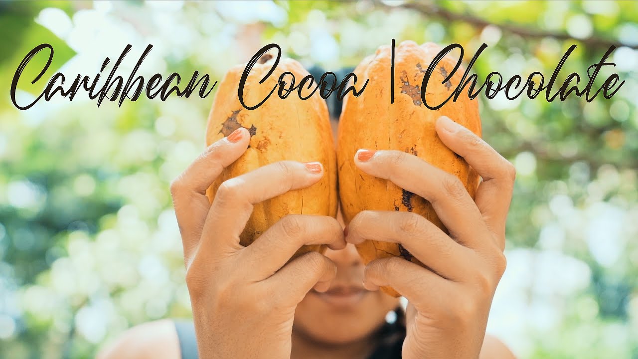 Caribbean Cocoa stick | Covid19 Quarantine Edition - YouTube