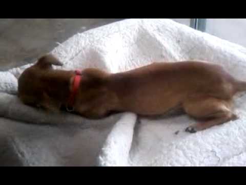 Video07292014153143