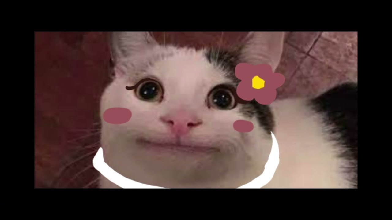 Beluga’s Girlfriend.. - YouTube