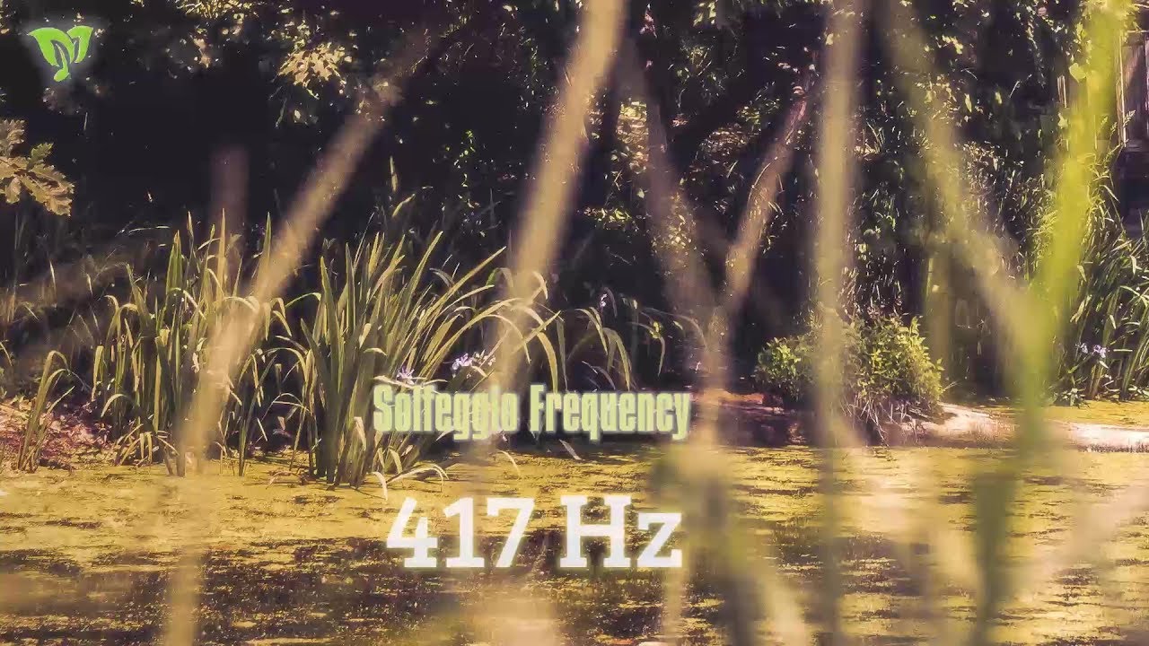 Solfeggio Frequency 417 Hz 🎵🧘‍♀️ Healing Tones for Meditation ...